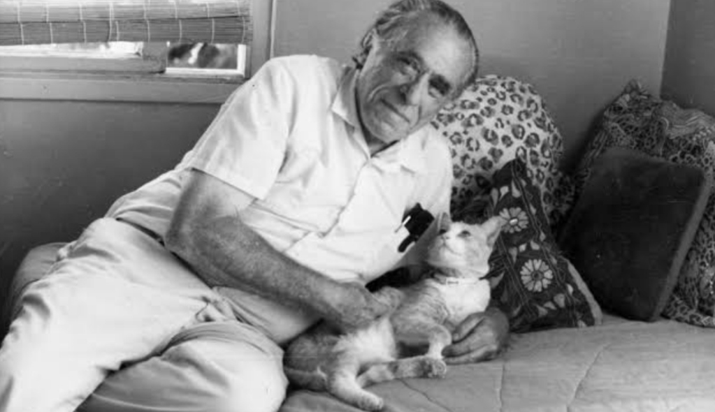 Yalnız ve dik durmak / Charles Bukowski - Kırkevinkedisi